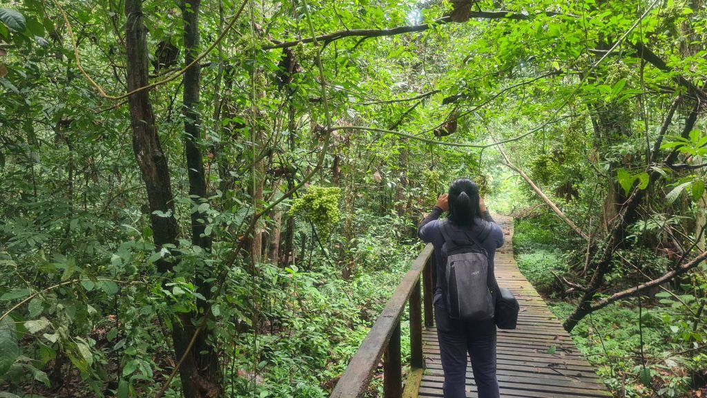 EMS Progress - Environmental Consulting Company in Kuching